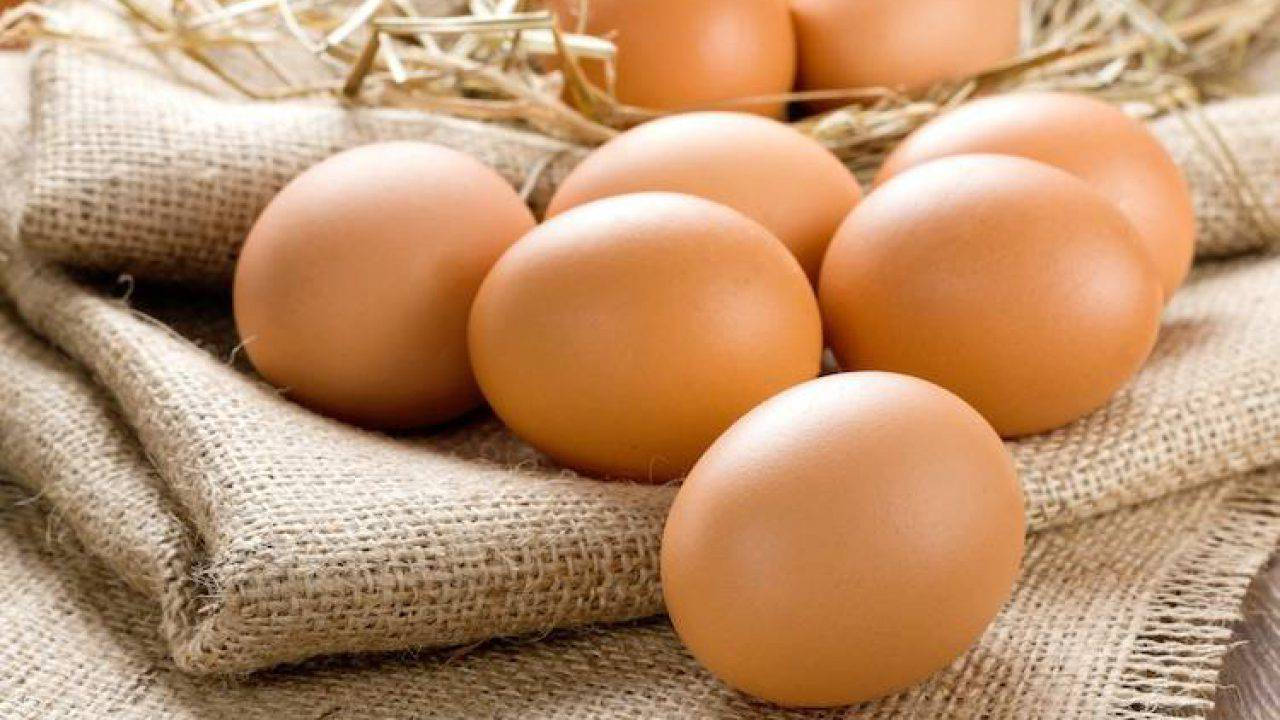 Quante proteine ha un uovo? Quante mangiarne alla settimana? - Ex Nutrition